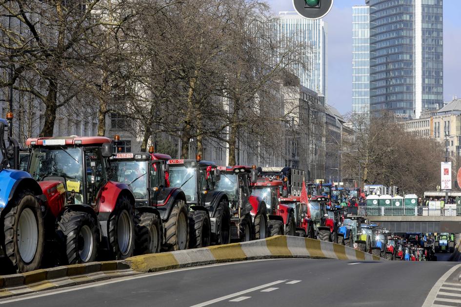 ‘Akkoord’ rond stikstof biedt geen oplossingen voor de boeren en de ... ‘Akkoord’ rond stikstof biedt geen oplossingen voor de boeren en de ...